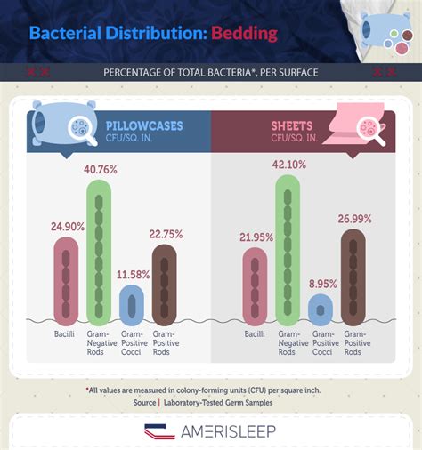 Bacteria In Your Bed Amerisleep Blog