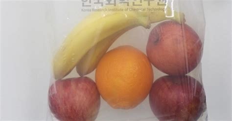 국내 연구진 땅속에서 100 녹는 비닐봉지 개발찢어지는 단점까지 보완