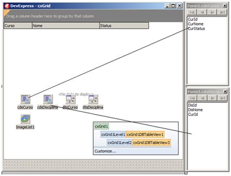 DelphiIsAlive CxGrid Master X Detail