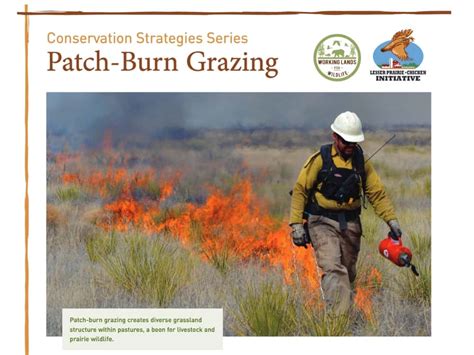 Great Plains Working Lands For Wildlife