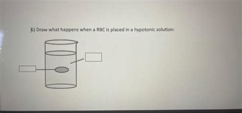 5 Draw What Happens When A Rbc Is Placed In A