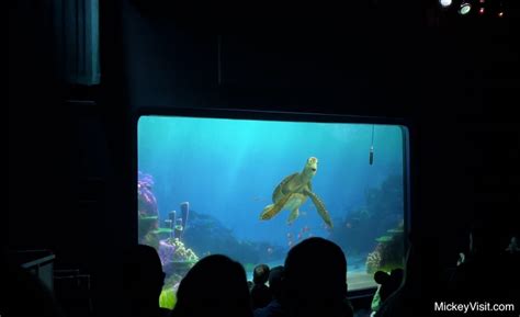 Here S How Disney S Turtle Talk With Crush Attraction Works
