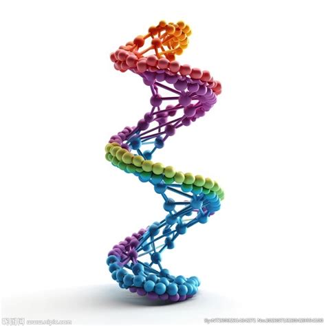 Dna分子 花瓣网