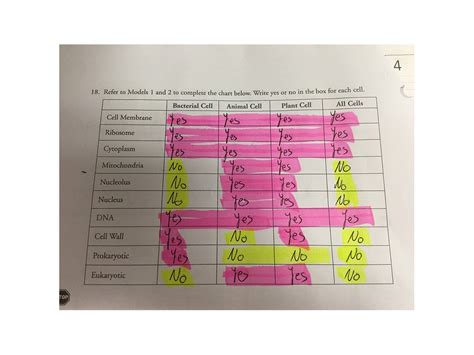 Prokaryote Vs Eukaryote Science Biology ShowMe