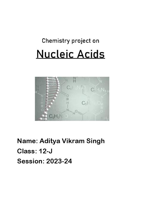 Nucleic Acids Nuclic Acid Chemistry Project On Nucleic Acids Name Aditya Vikram Singh Class