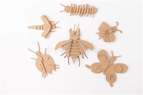 Handmade Cardboard Insect Crafts Arranged On White Background Diy Eco