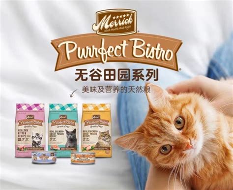 引动创新，深植本土，雀巢普瑞纳再携多元产品矩阵亮相亚宠展中华网