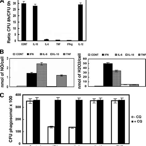 Differential Expression Microarrays And Functional Clustering To