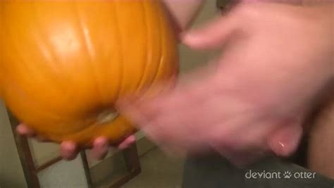 Otter Gets Inside A Pumpkins Mouth