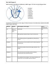 Understanding Mitosis And Meiosis Stages In Biol Course Hero