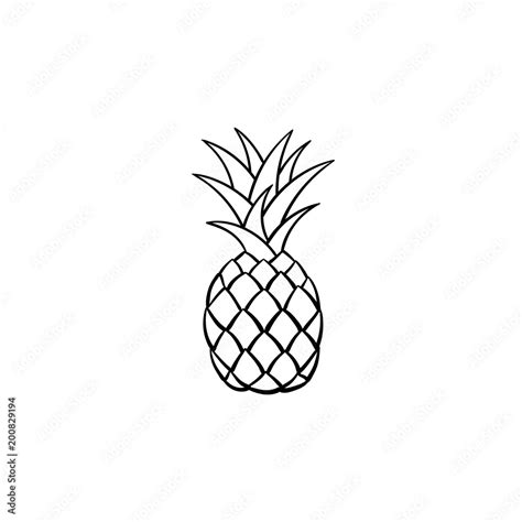 Pineapple Hand Drawn Outline Doodle Icon Vector Sketch Illustration Of