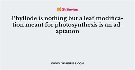 Phyllode Is Nothing But A Leaf Modification Meant For Photosynthesis Is