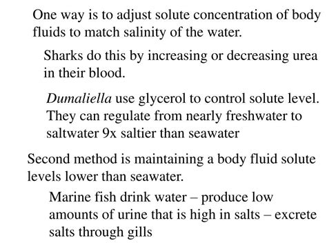 Ppt Planktonic Organisms Drifting Organisms Powerpoint Presentation