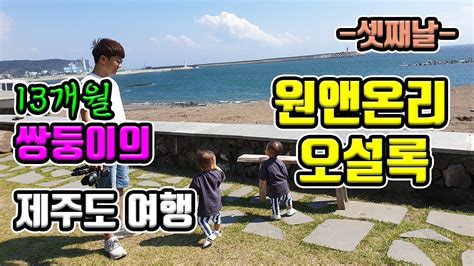 쌍둥이와 함께하는 제주도 가족여행 셋째날 보말칼국수 원앤온리 오설록 Youtube