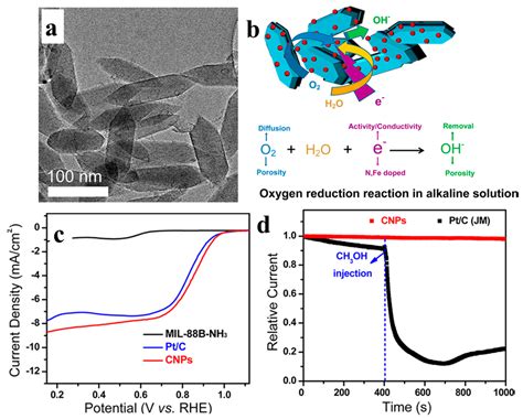 Catalysts Special Issue Carbon Materials For Green Catalysis