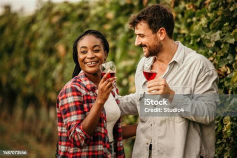 포도밭에서 일하는 동안 야외에서 와인을 마시는 다양한 커플 마시기에 대한 스톡 사진 및 기타 이미지 마시기 남자 분홍 포도주 Istock