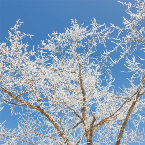 January — Autism Grown Up