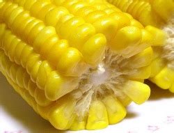 КУКУРУЗА СЛАДКАЯ ПРОДАМ 2,5 грн качан. - Продам КУКУРУЗУ СЛАДКУЮ