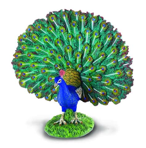 Peacock Model By Collecta Redworld Toys And Models