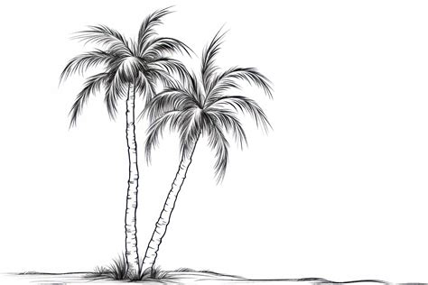 Tropical Palm Tree Sketch Art Premium Ai Generated Vector