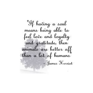 James Herriot Quotes Quotesgram