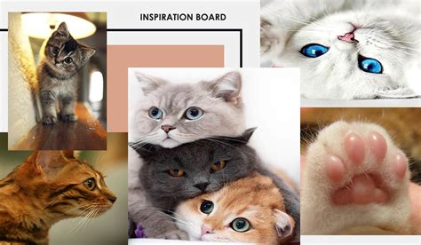 Cad Lectra Modaris 32 Images Behance