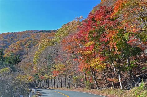 日塩もみじラインの紅葉 1 日光奥日光那須 栃木の四季 紅葉情報