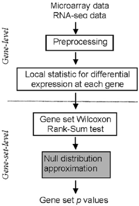 Flowchart For The Analysis Of Real Data The Location For Null
