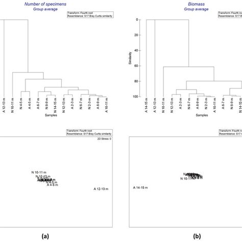 The Total Weight Frequency Distribution Of Specimens In Natural Dens Download Scientific