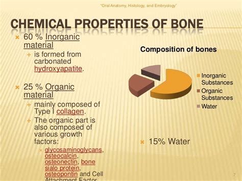 Bone