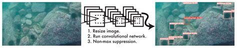 Underwater Target Detection With High Accuracy And Speed Based On Yolov10