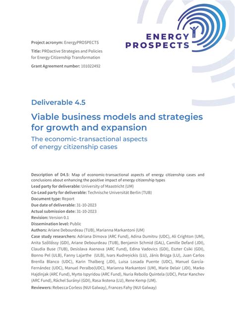 Pdf Viable Business Models And Strategies For Growth And Expansion