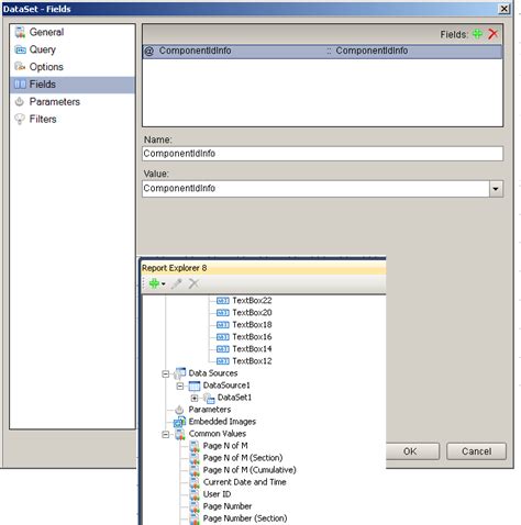 C Activereports Pagereport Creation By Using Custom Data Stack