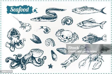 해산물 벡터 스케치 설정합니다 바다 물고기 문 어 새우 랍스터와 장 어 흰색 배경에 고립의 그려진된 낙서를 손 빈티지 요리 책 또는 메뉴 디자인 요소 판화 제작물에 대한