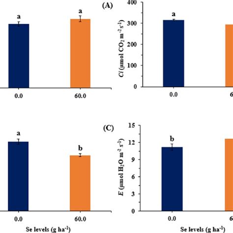 Effect Of Foliar Application Of Se Levels Independent Of The Irrigated Download Scientific