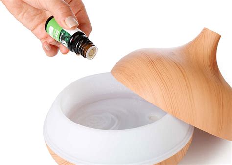 Gloross Shopify Experts You Shopify Plus Development Agency