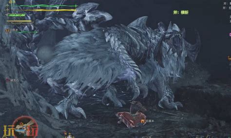 怪物猎人荒野护锁刃龙与锁刃龙打法一览 高效狩猎攻略