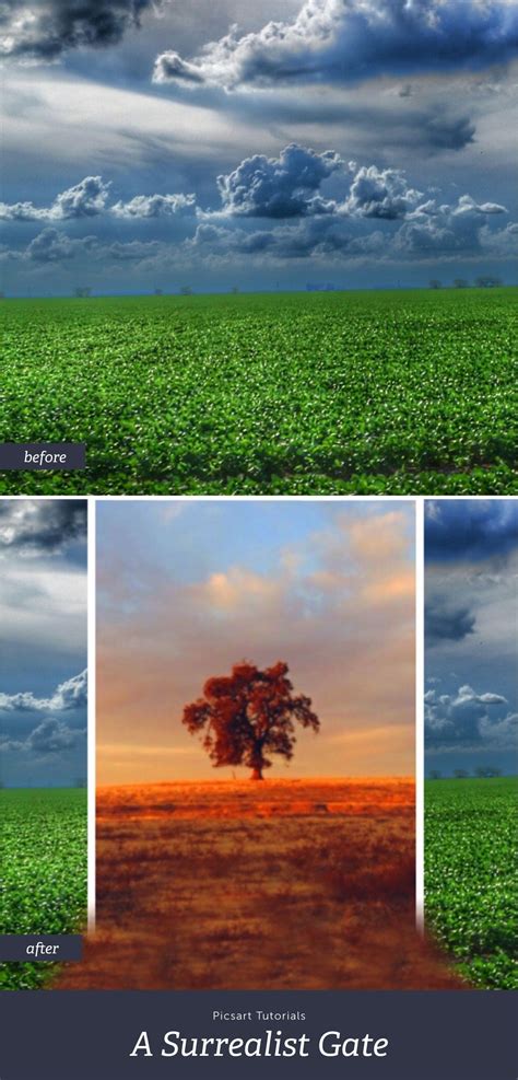 Tutorials Picsart Blog Colorful Backgrounds Close Up Photography