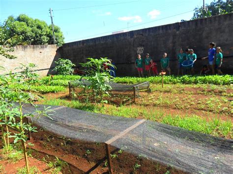 Escola Estadual Pedro Alberto Tayano Projeto Horta Escolar Semeando