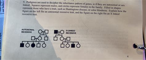Solved Pedigrees Are Used To Decipher The Inheritance