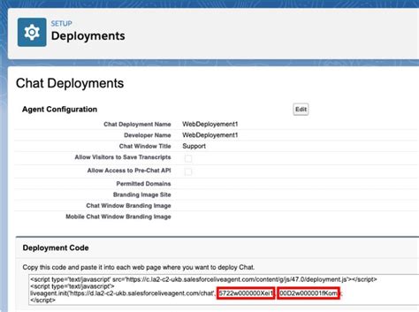 Salesforce Live Agent