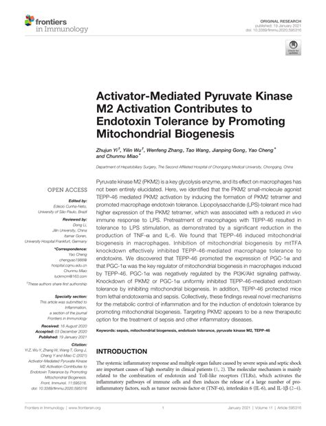 Pdf Activator Mediated Pyruvate Kinase M2 Activation Contributes To