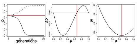 10 One Locus Models Of Selection Biology Libretexts