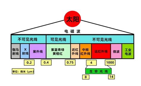 微波传感器 从零开始认识各种传感器【硬禾器件小百科 第二十期】 哔哩哔哩