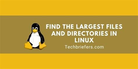 Find The Largest Files And Directories In Linux Techbriefers