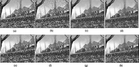 Visual Comparisons Among The Proposed And Various Other Denoising Download Scientific Diagram