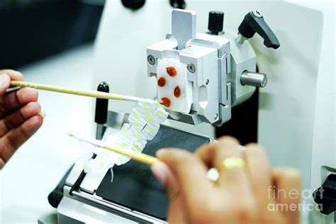 Cutting Tissue Section With Rotary Microtome Photograph By Science Photo Library Pixels Merch
