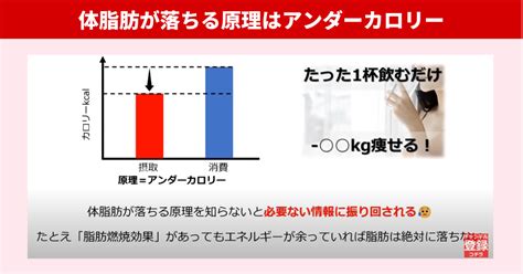 【キツイ運動なし】50代女性が体脂肪を減らすには食事の見直しから！戦略を6ステップで解説 体脂肪専門家くどう公式サイト