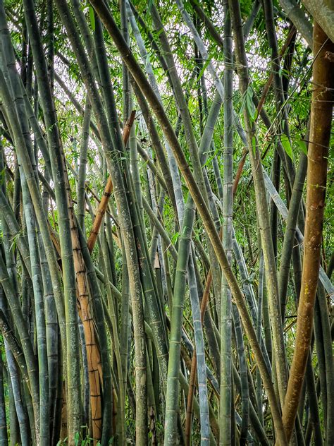 Loveshackfancywallpaper Photos Download The Best Free Loveshackfancy