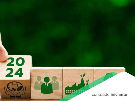 Entenda Os 7 Desafios Da Sustentabilidade Em 2024